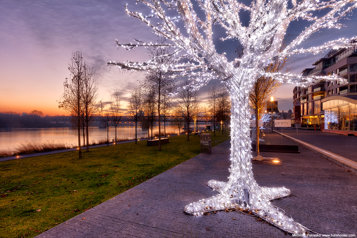 Light tree - HDRshooter